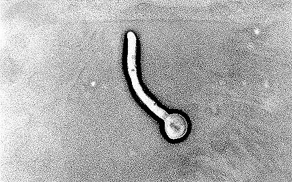 Index of /siteParts/images/large